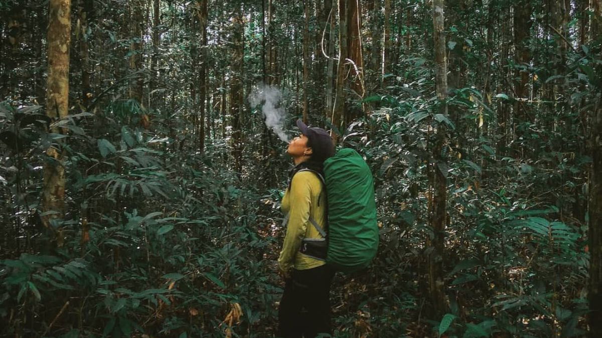 5 Wisata Puruk Cahu yang Wajib Dikunjungi! No 1 Pendaki Wajib Coba ...